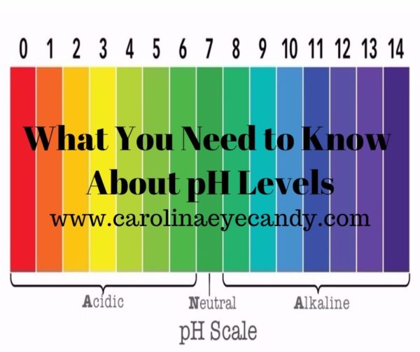 What You Need to Know About pH Levels | Carolina Eye Candy